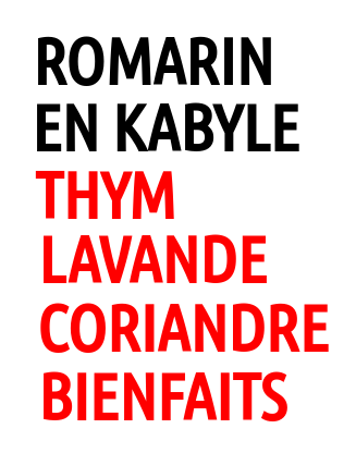 La traduction idéale du mot "Romarin" en kabyle – Berbèrosphère
